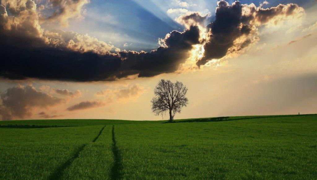 5 Proven Benefits of Living the Country Life - InPeaks