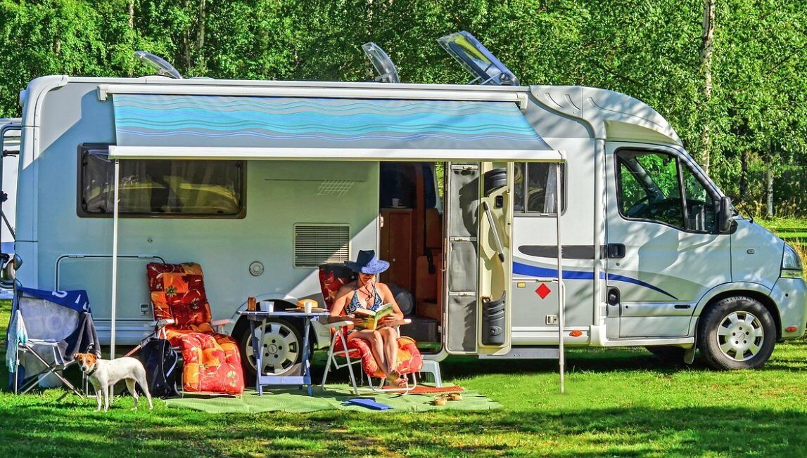 Decorating Your RV Home with Artificial Plants: A Guide - InPeaks