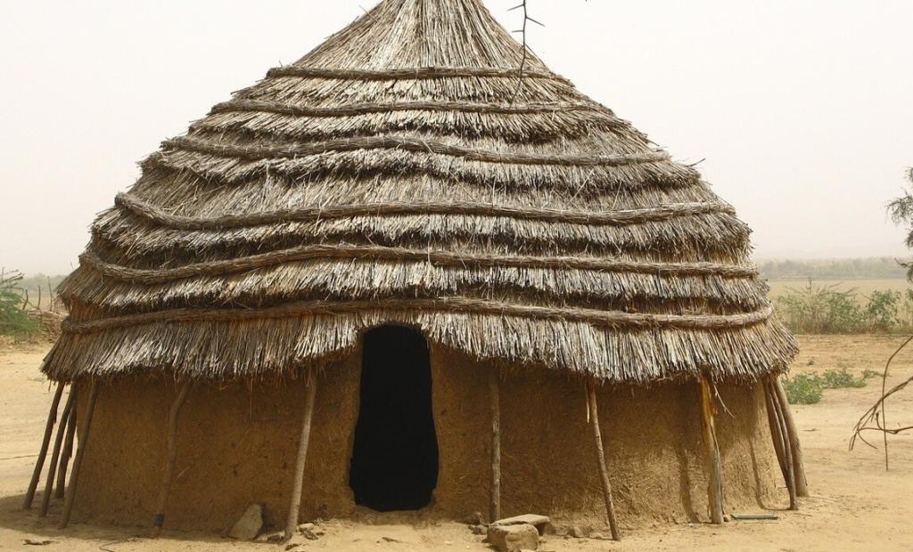 Top 10 Amazing Facts, Entertainment, and Exotic Cuisines in Niger - InPeaks